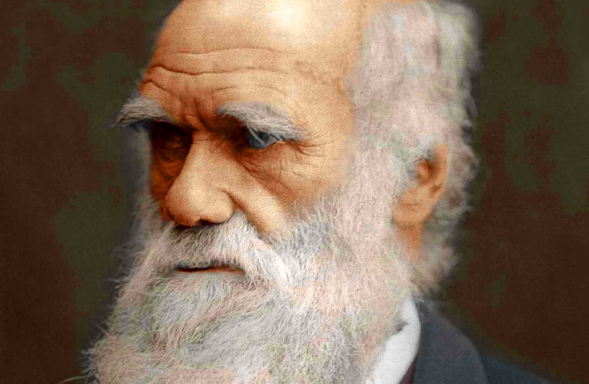 33 Interesting Bio Facts about Charles Darwin, Evolutionist - Biography ...